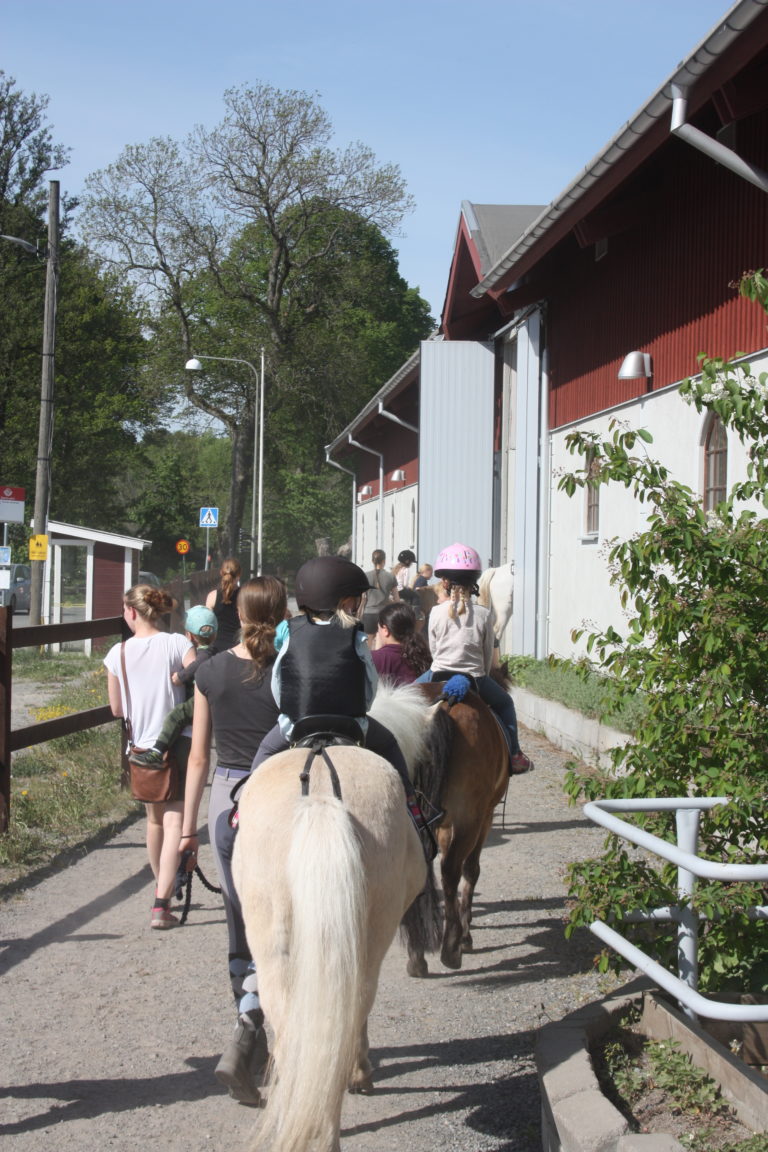 Börja rida – Ågesta ridskola