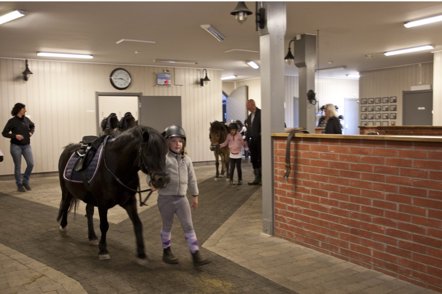 Börja rida – Ågesta ridskola